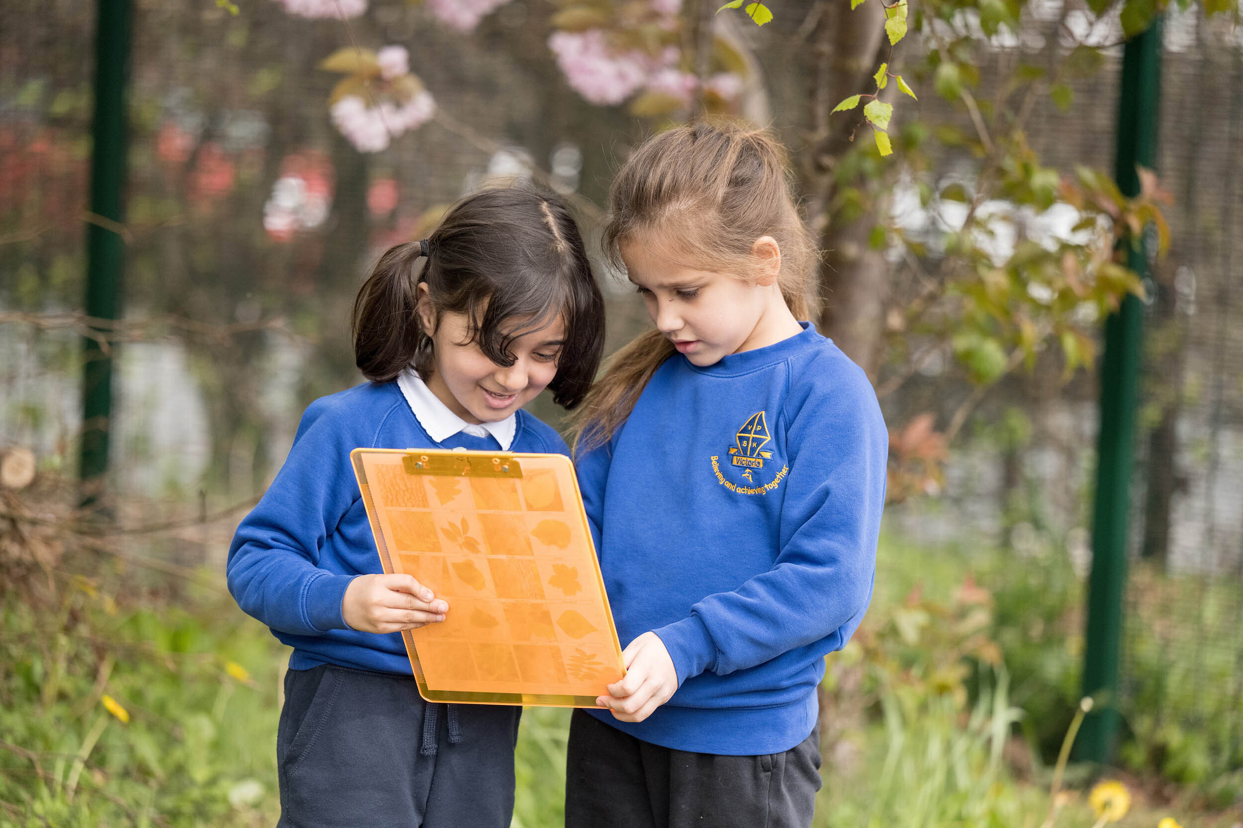 Curriculum Overview - Victoria Primary School